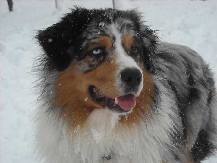 Freedom Tho Be Myself