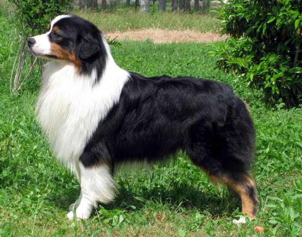 Colorado De L'igloo Des Sables